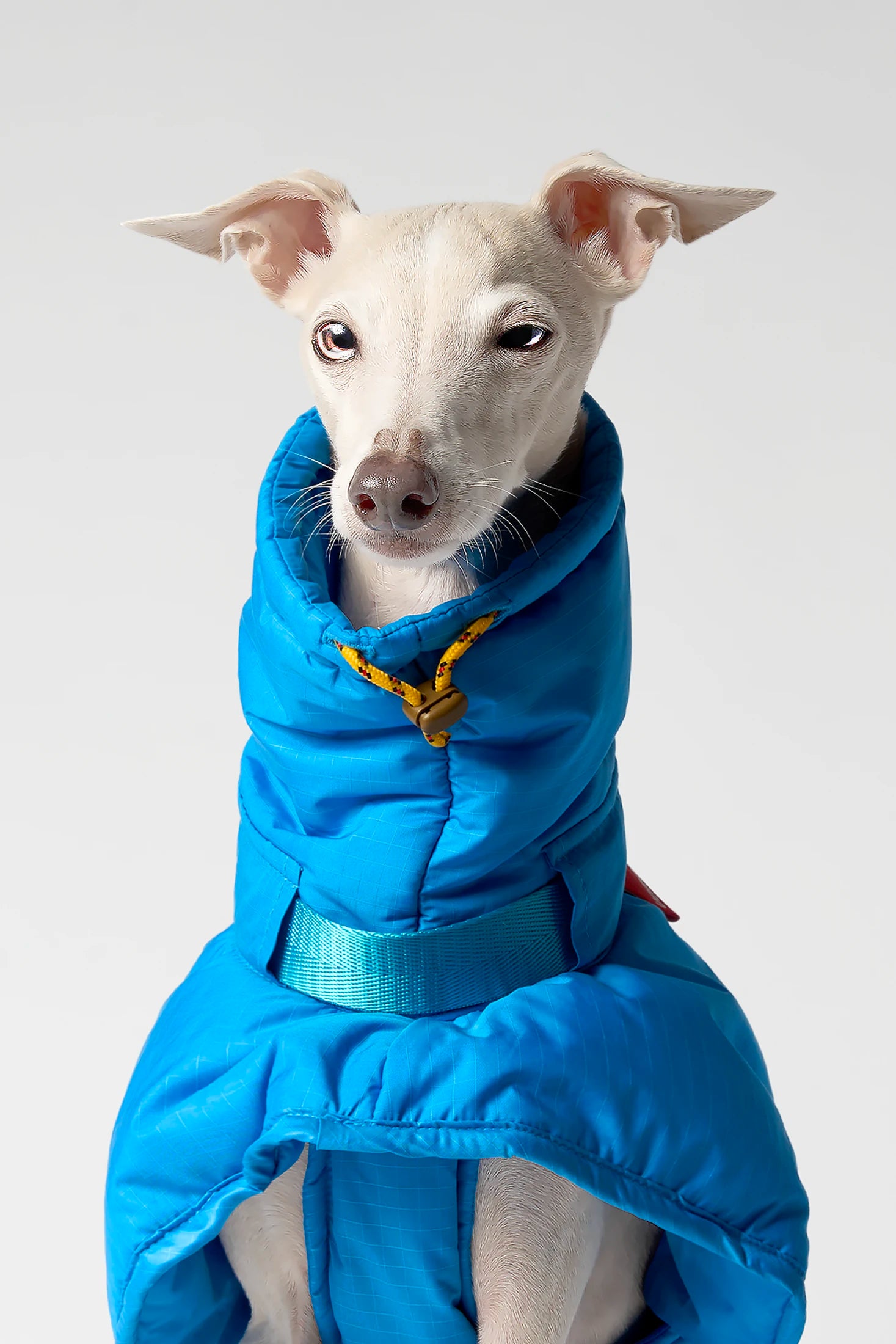 GRAVITY - SUPER COVER EXTREME – vemvem®