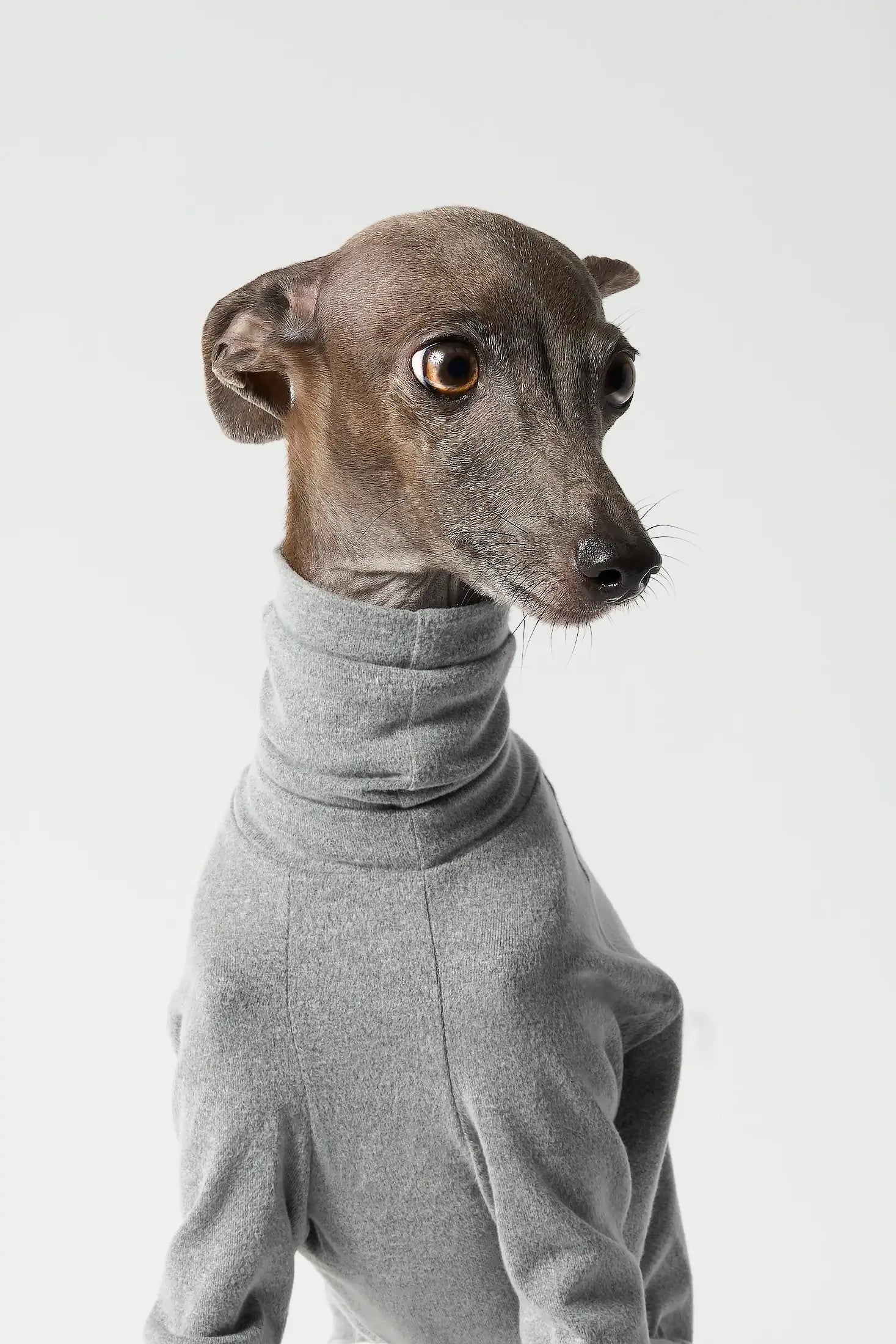 BALLET - SLIM HEAT CLASSIC – vemvem®