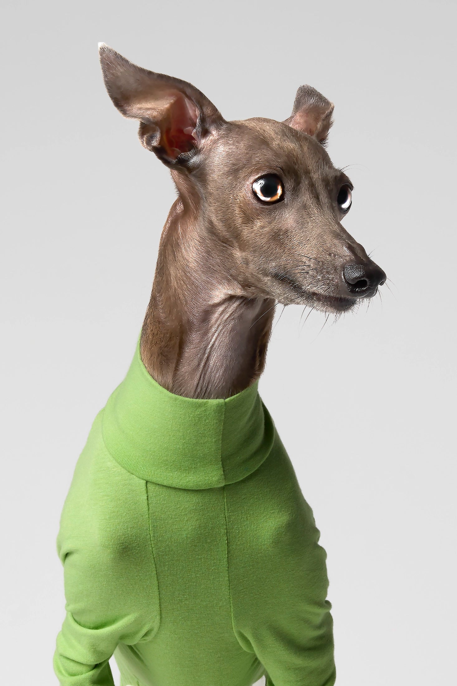 BALLET - LIGHT SLIM - Bud green | Italian Greyhound Clothing – vemvem®