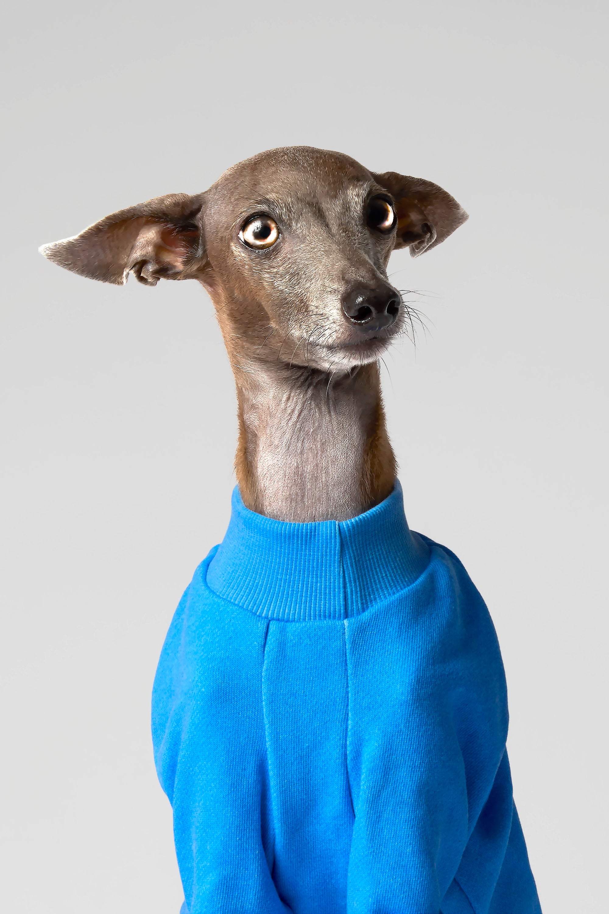 FACE - CUT AWAY – vemvem®