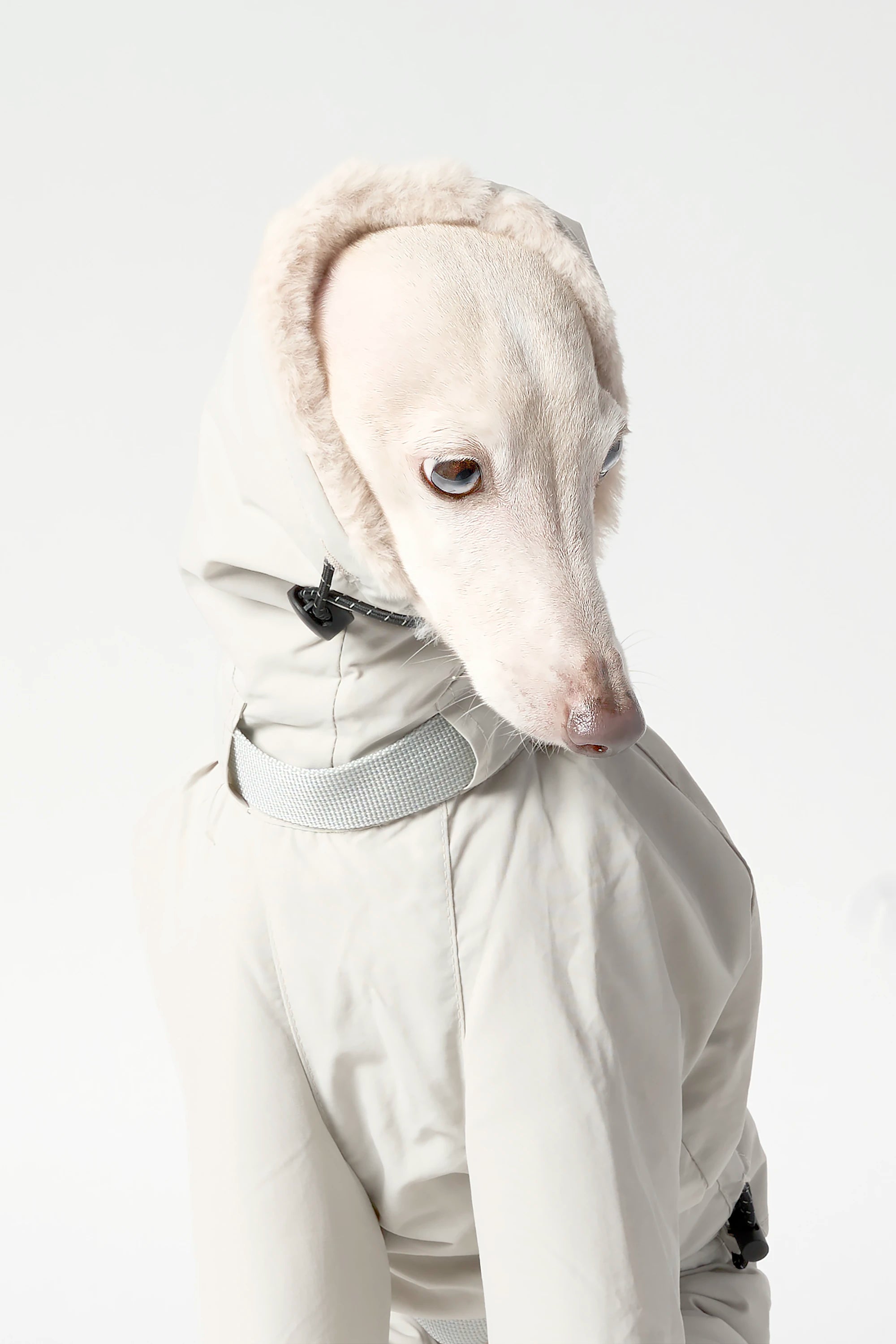 GRAVITY - SUPER WARM – vemvem®