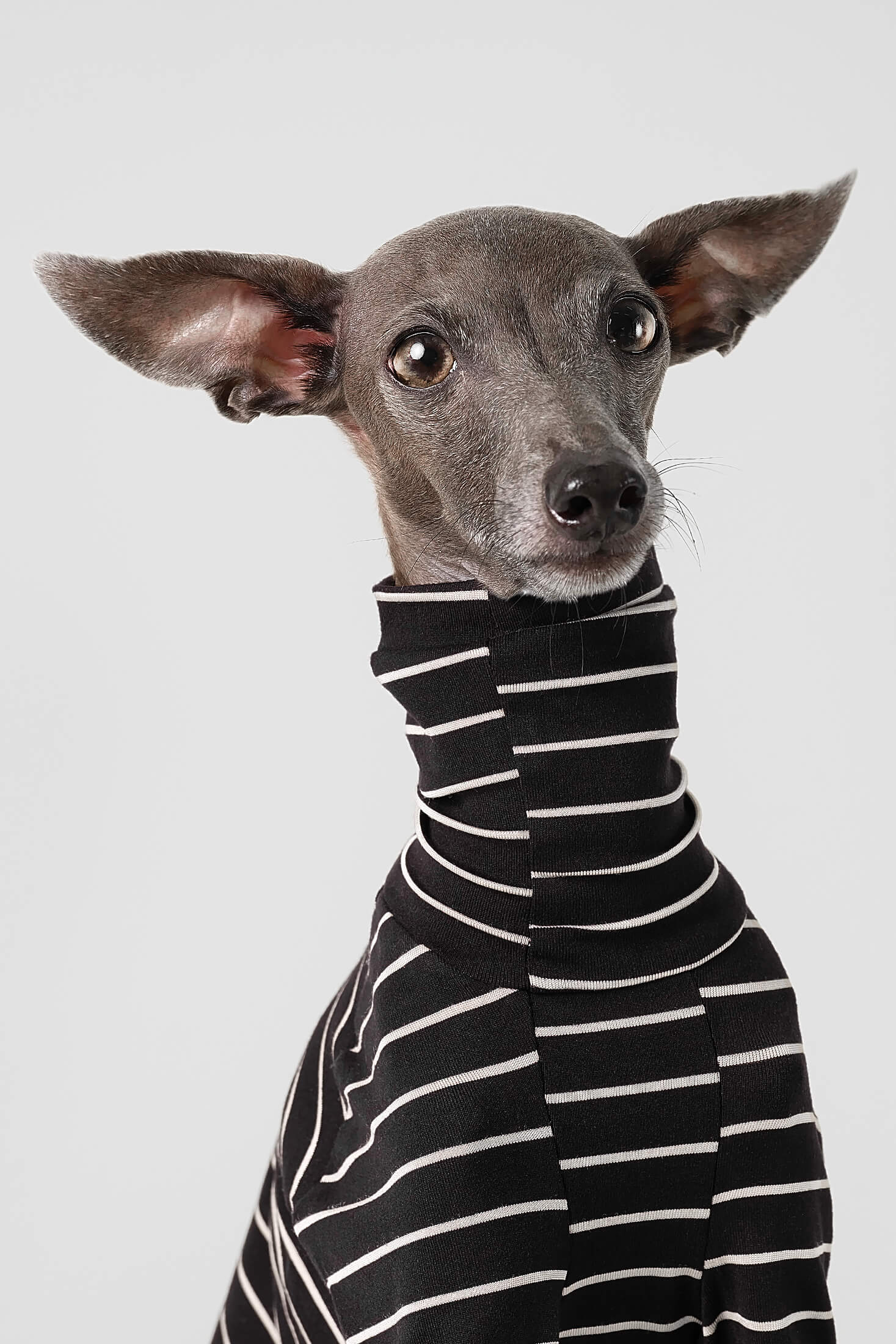 Onesies – Page 2 – vemvem®