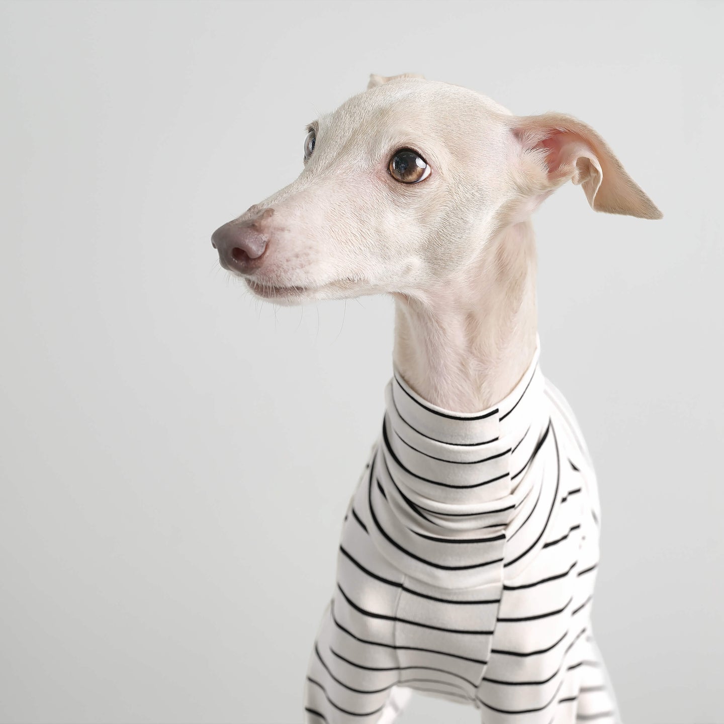 BALLET - SLIM HEAT STRIPE - WHITE – vemvem®