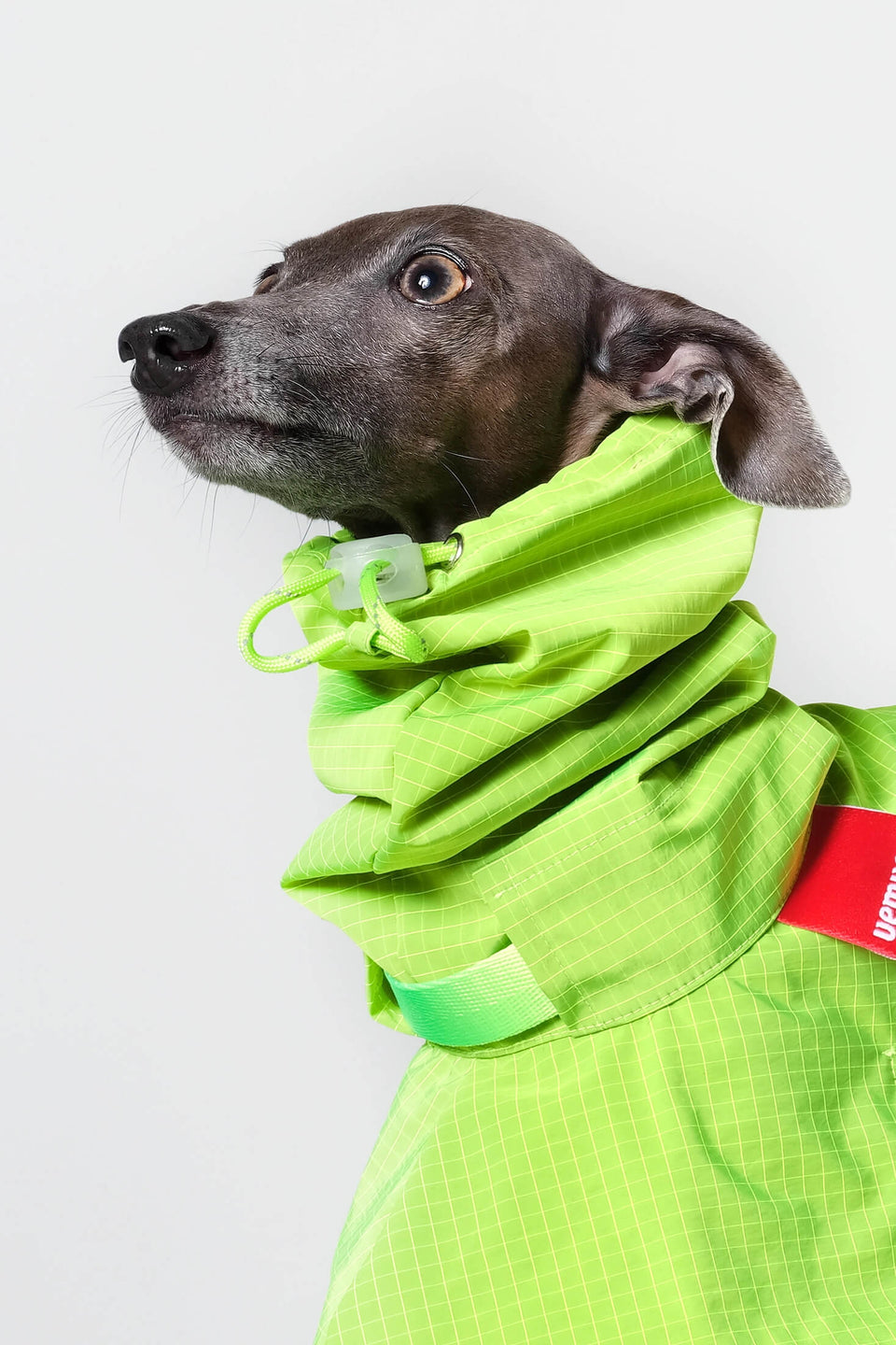 All – Page 3 – vemvem®