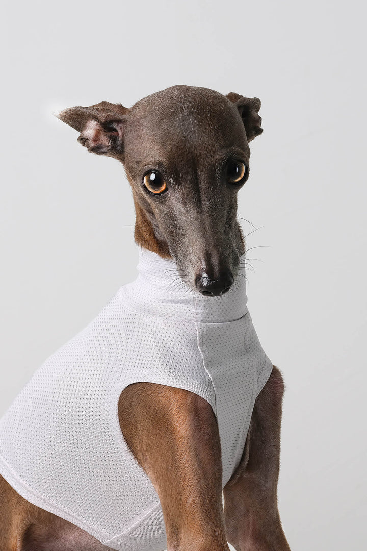 New arrivals – vemvem®